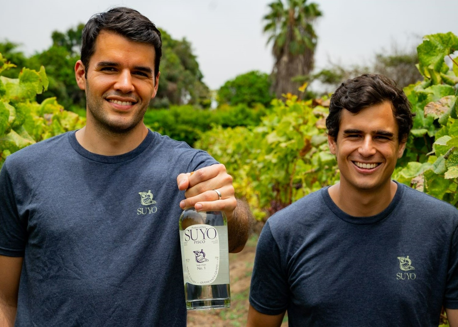 SUYO: conoce más de este pisco artesanal - Revista Sommelier
