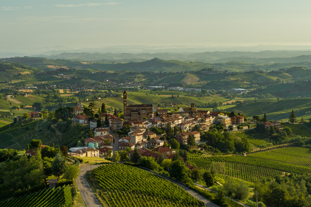 Asti Spumante y Moscato d'Asti, dos vinos históricos del Piamonte italiano