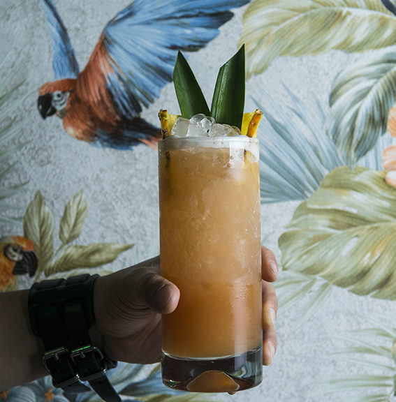 Vuelve The Parrot Shadow - Revista Sommelier
